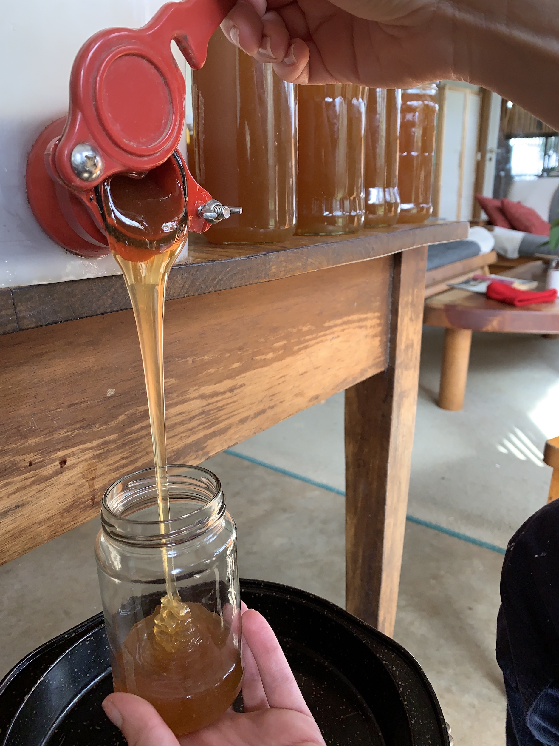 Permaculture Farm Stay – Murrnong Farm – The Barefoot Pear