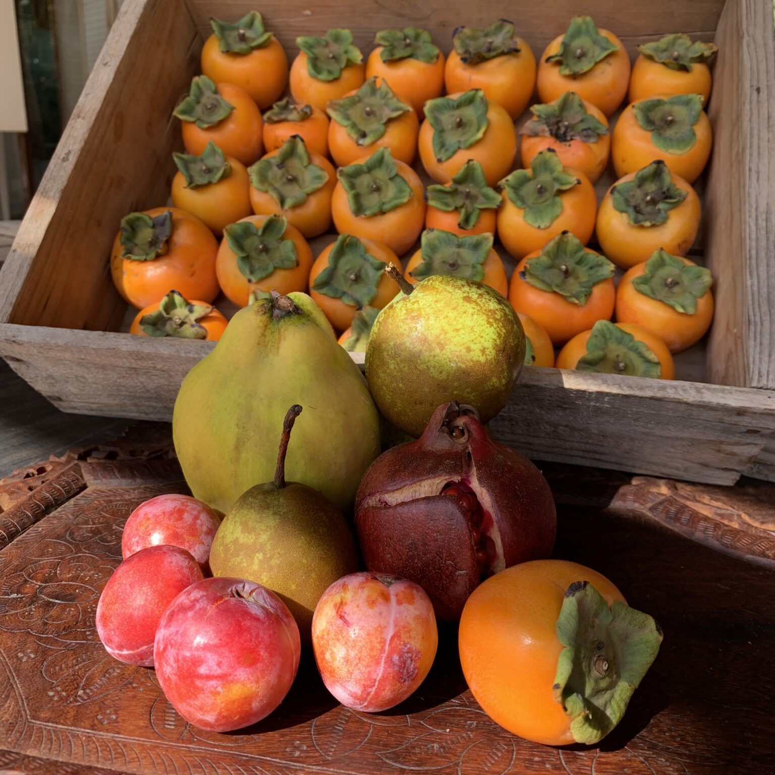 Permaculture Farm Stay – Murrnong Farm – The Barefoot Pear